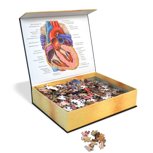 Human Heart Anatomy Jigsaw Puzzle | Unique Shaped Science Puzzles