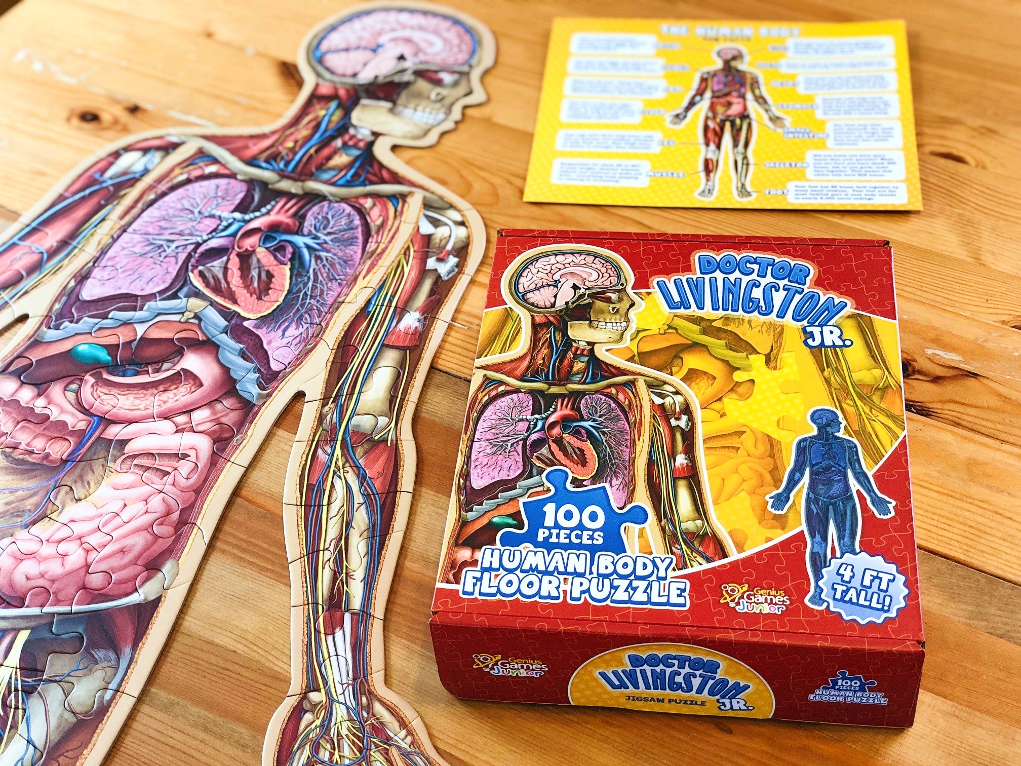 4ft Tall 100-Piece Full Body Human Anatomy Puzzle - For Kids! – Science ...